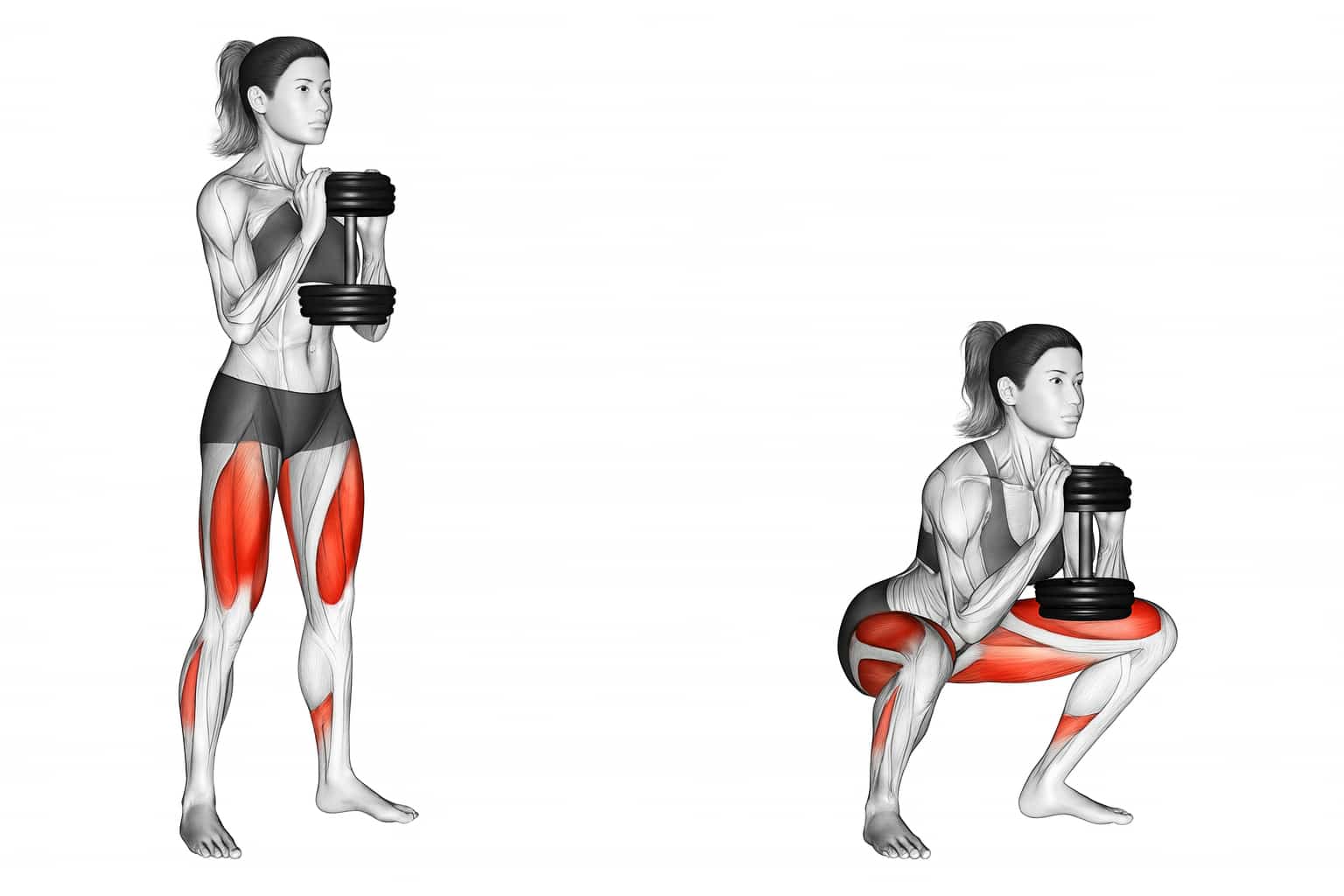 Goblet Squat Guide: Form, Benefits, Variations & Trainer Tips