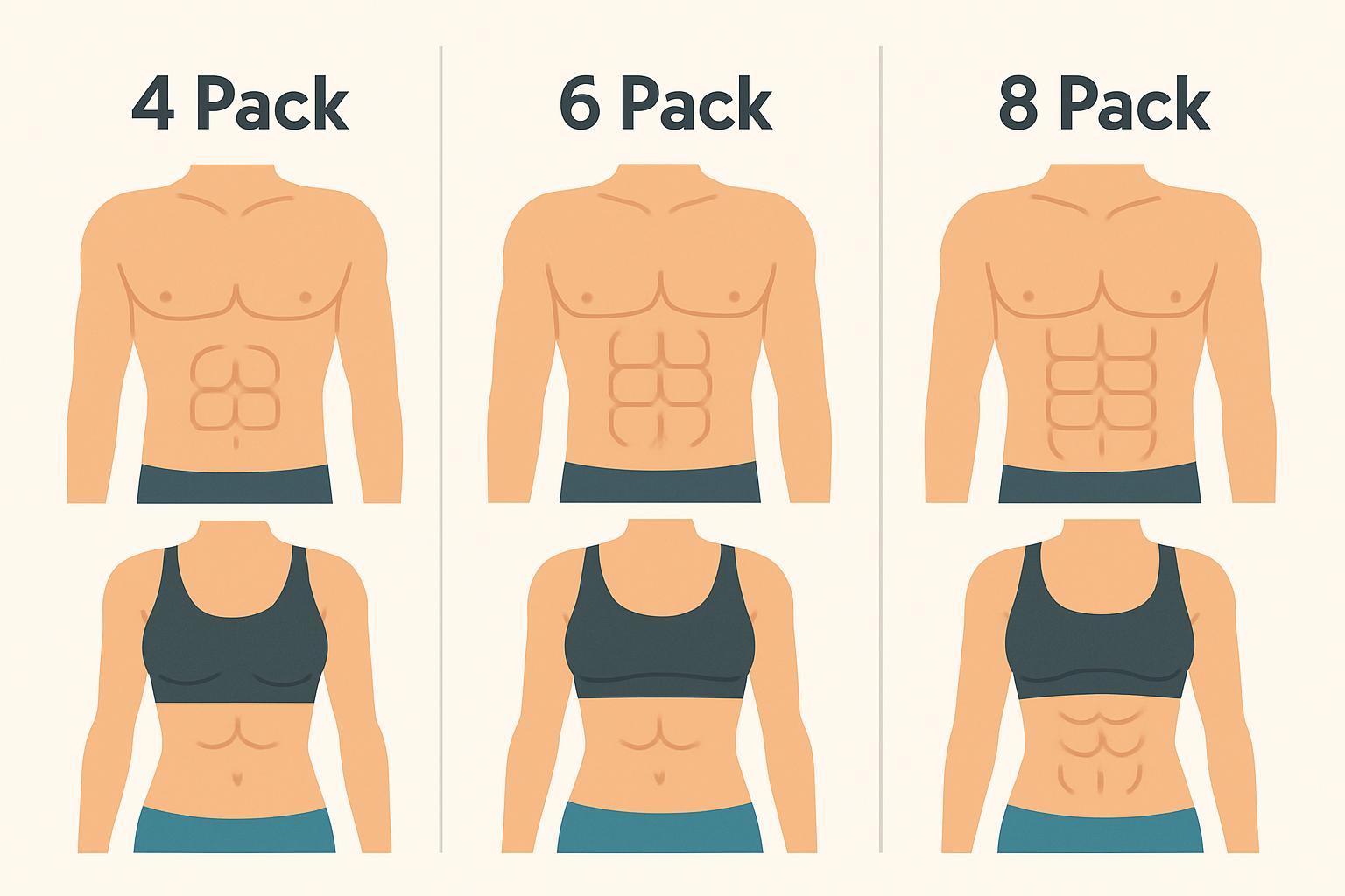 4 Pack vs 6 Pack vs 8 Pack Abs: The Truth About Your Genetics, Appearance, and Fitness Potential