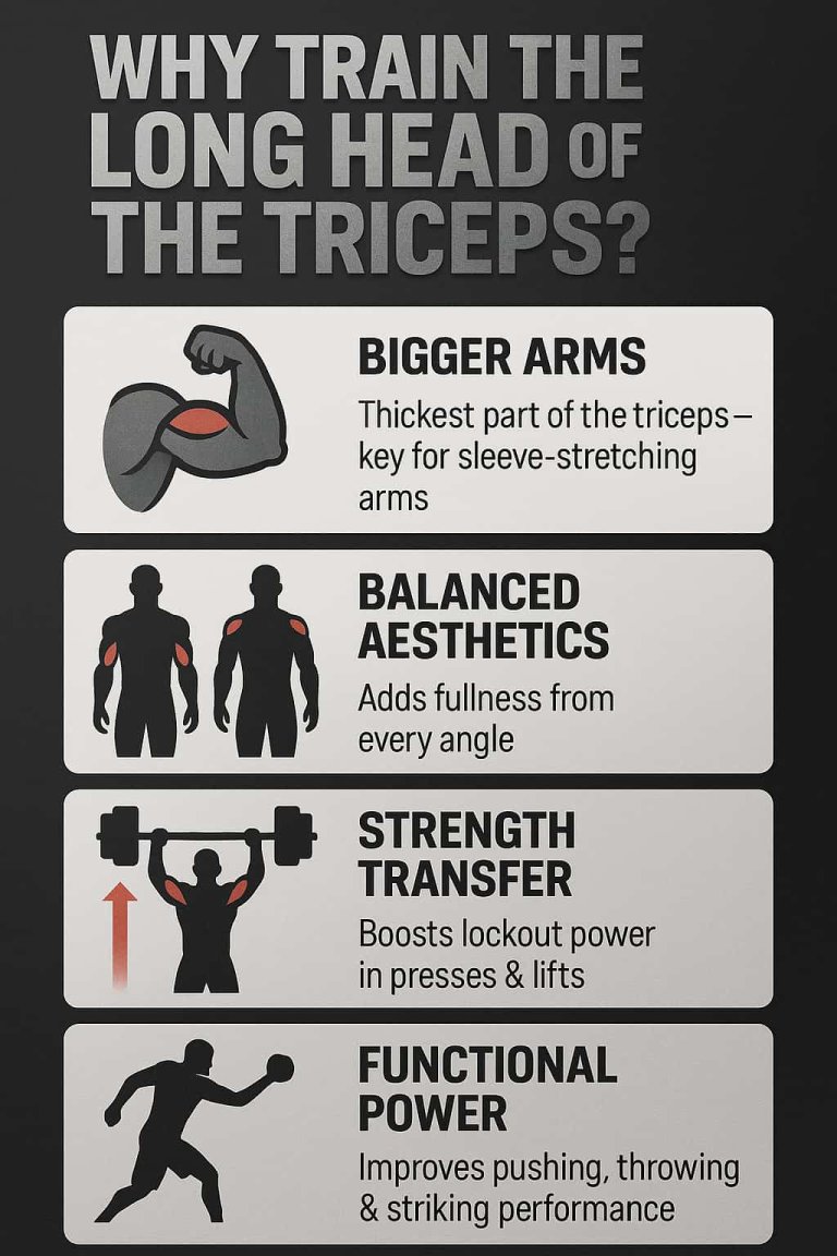 Best Long Head Tricep Exercises: 12 Moves for Size & Strength