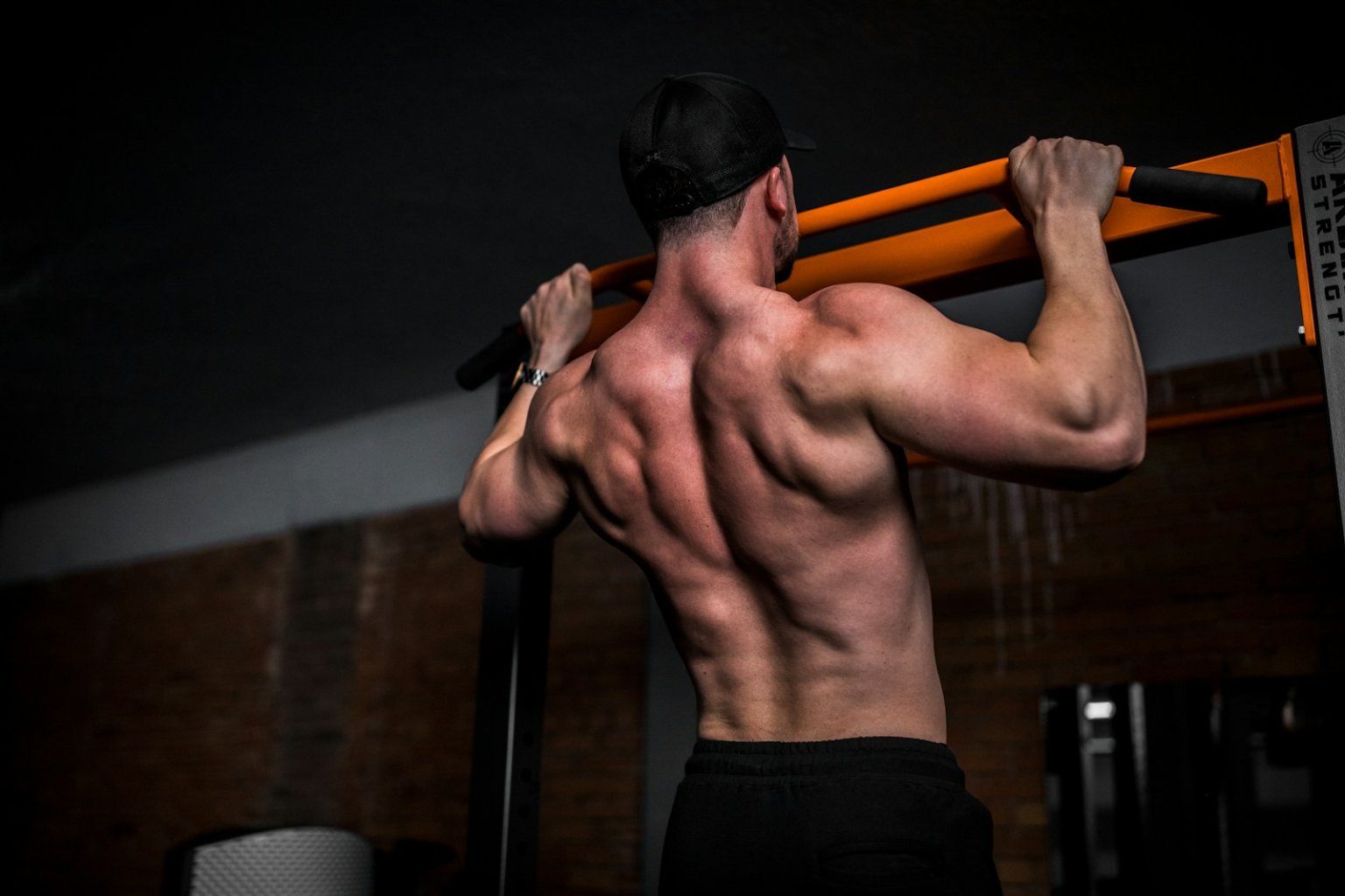 Back Workout Routine: Build a Stronger, Wider, and Healthier Back