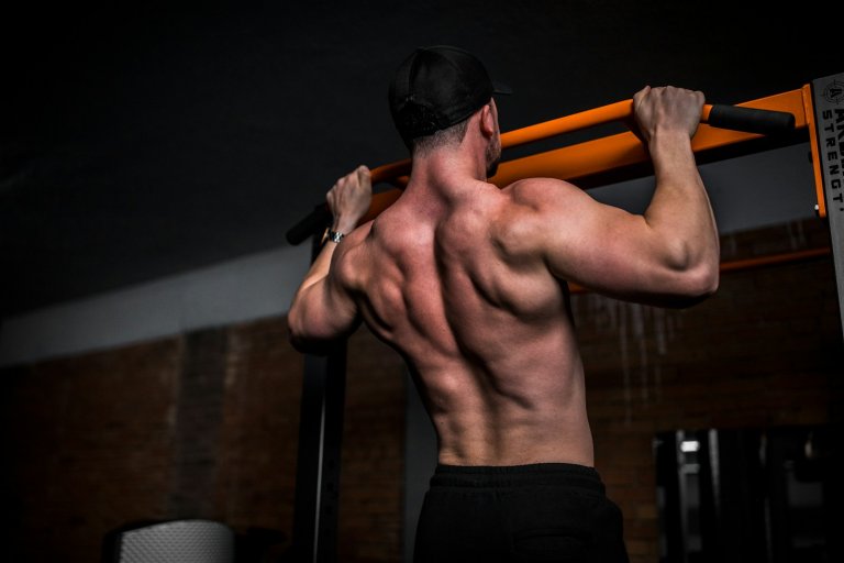 Back Workout Routine: Build a Stronger, Wider, and Healthier Back