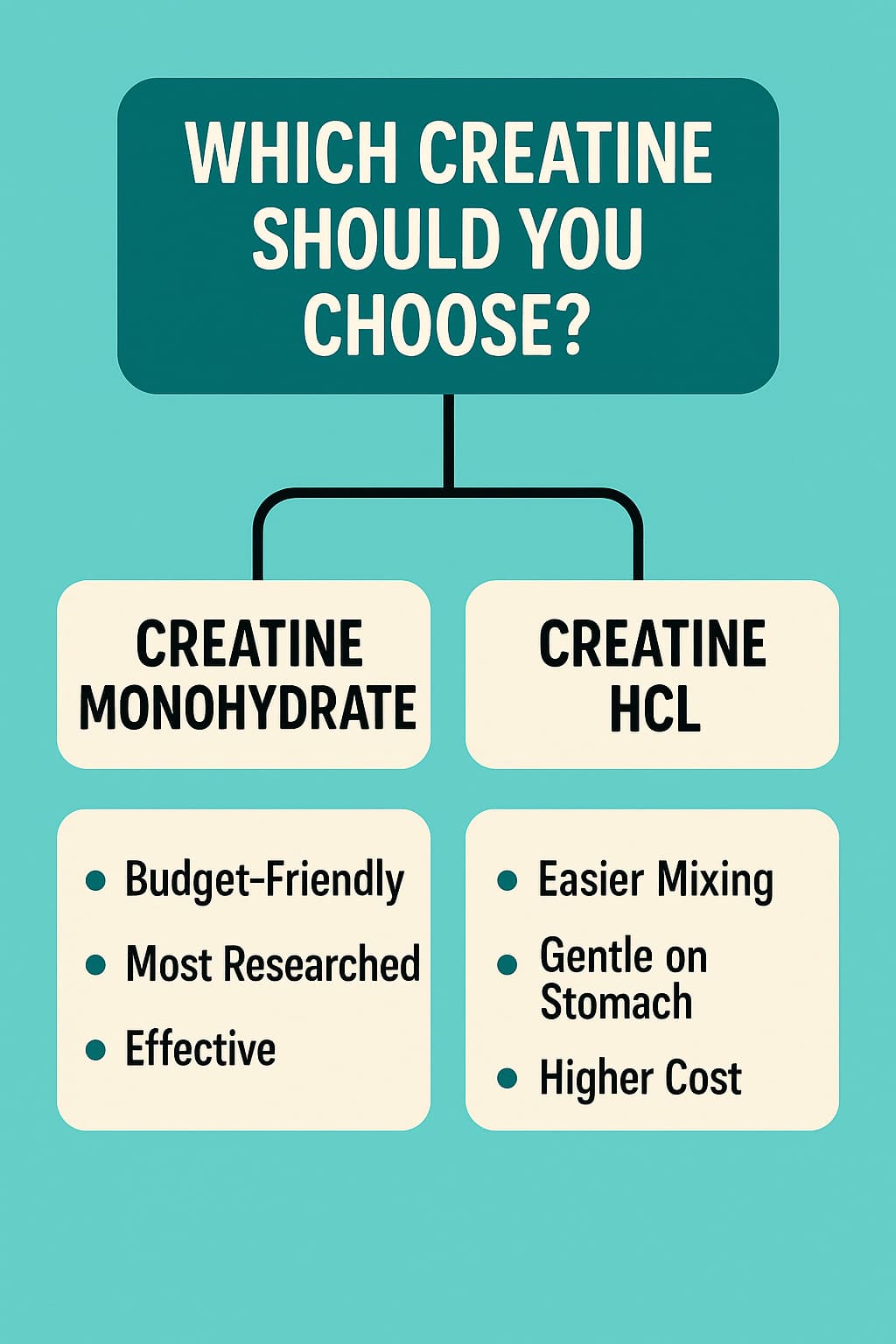 Creatine Monohydrate vs HCl: Which One Should You Take?