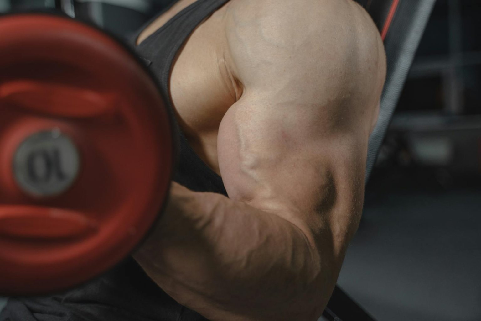 15 Best Bicep Curl Workouts to Build Bigger, Stronger Arms