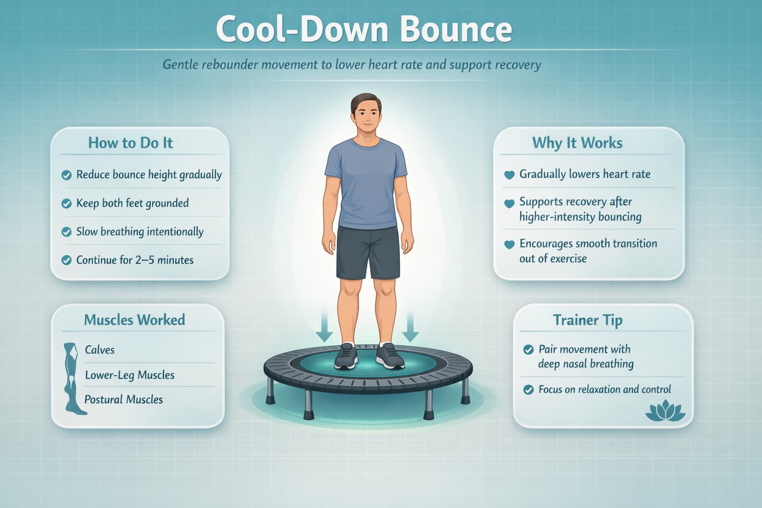 12 Best Rebounder Exercises That Burn Fat Without Joint Stress