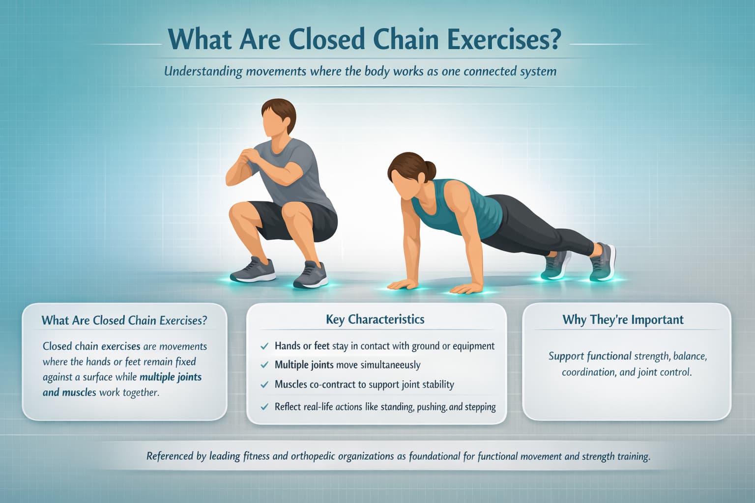 10 Closed Chain Exercises for Strength, Stability & Joint Control