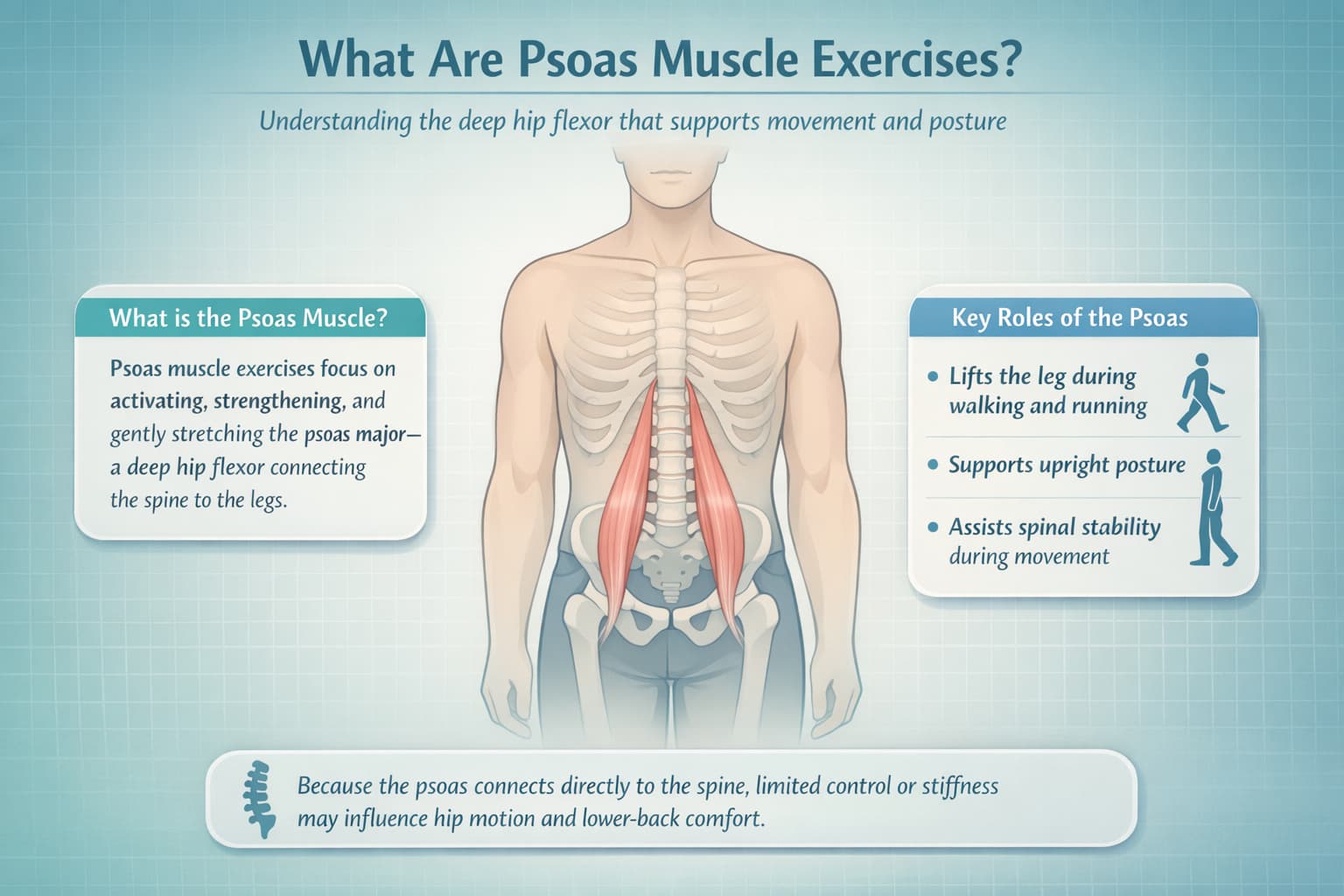 10 Best Psoas Muscle Exercises for Hip Mobility & Core Strength