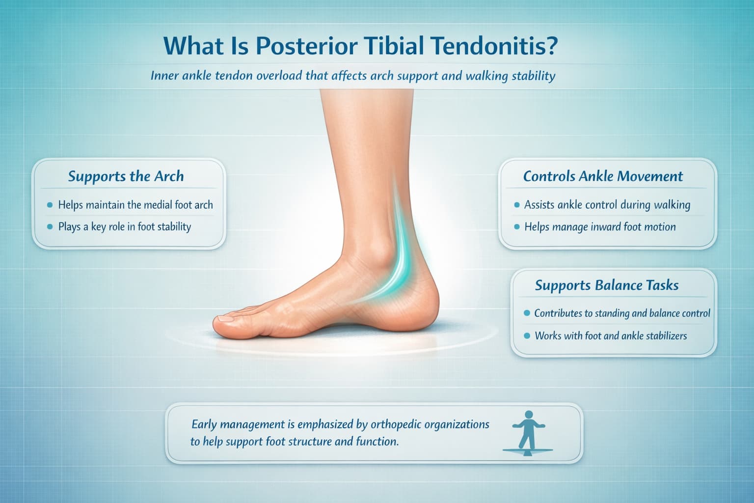 5 Posterior Tibial Tendonitis Exercises for Arch & Ankle Strength