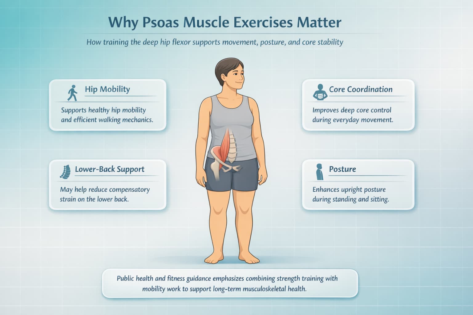10 Best Psoas Muscle Exercises for Hip Mobility & Core Strength