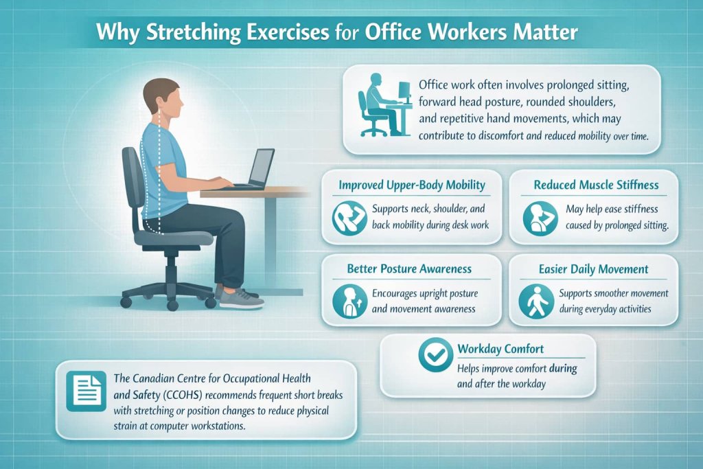 11 Stretching Exercises for Office Workers to Reduce Stiffness