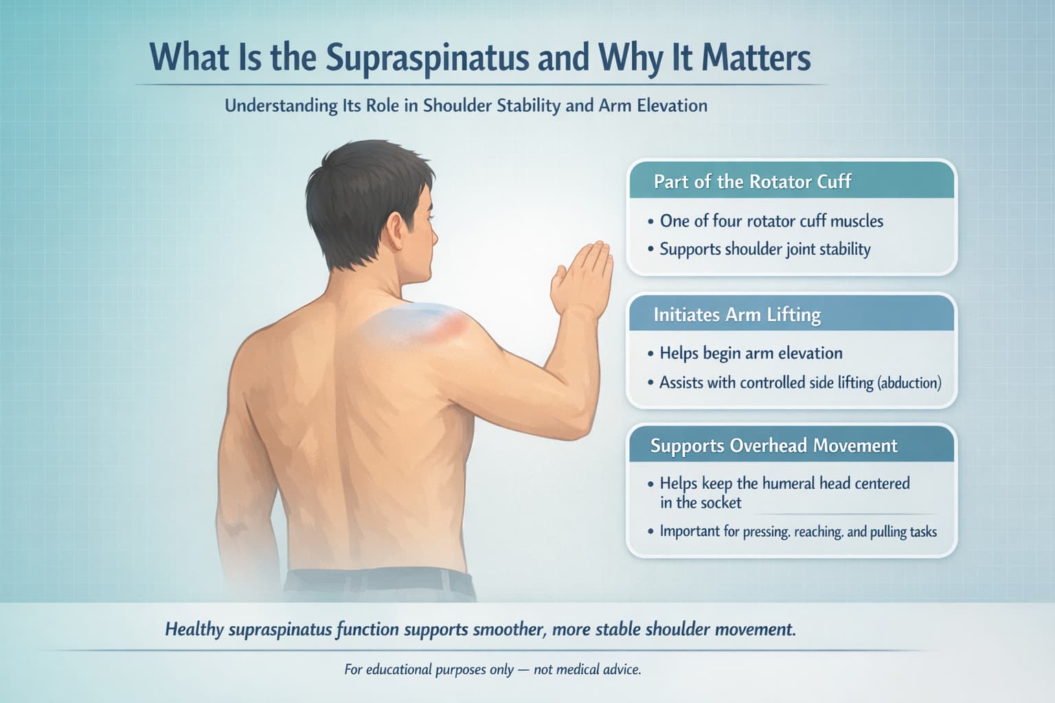 9 Best Supraspinatus Exercises for Strong, Pain-Free Shoulders