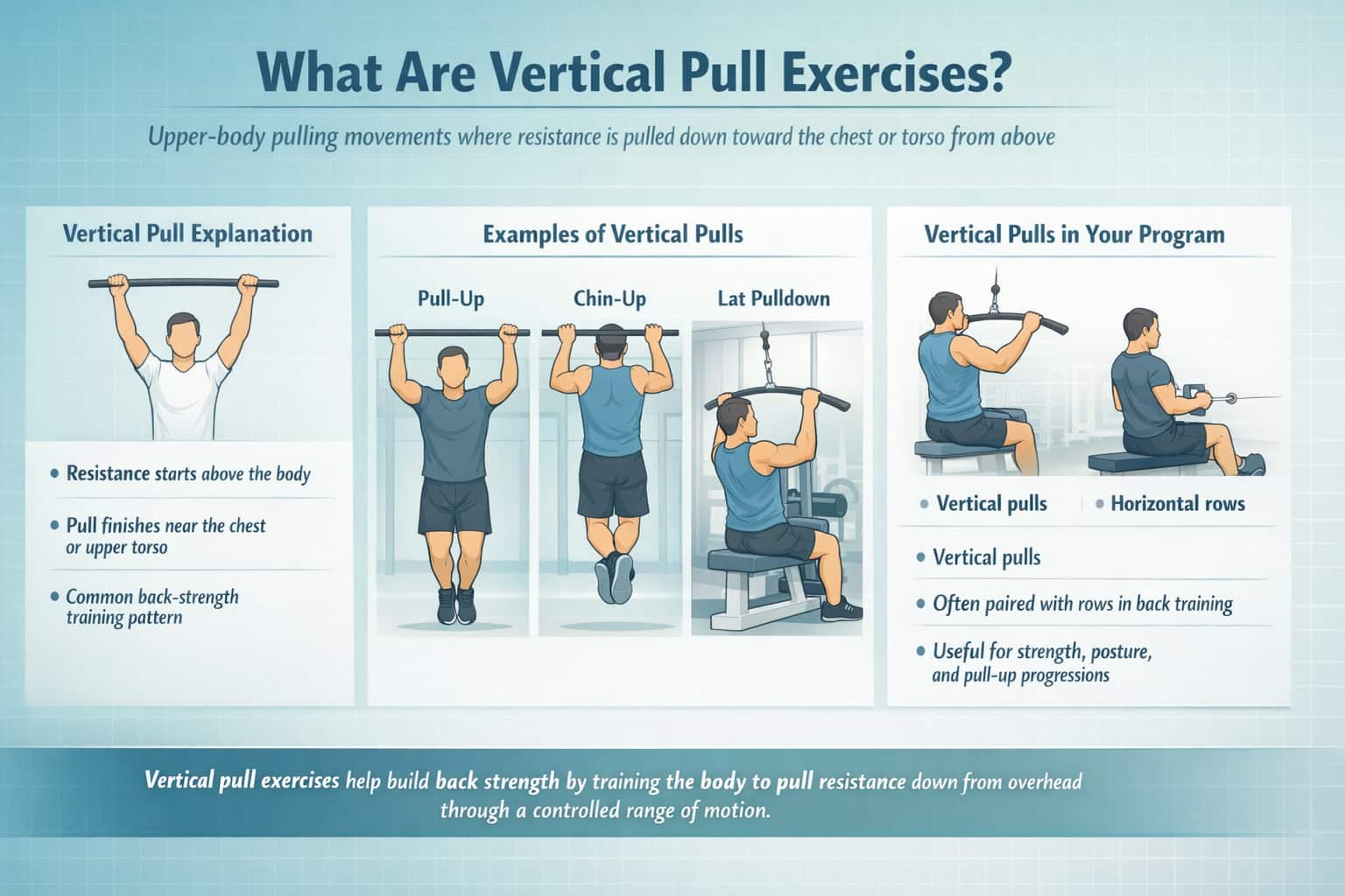 8 Best Vertical Pull Exercises to Build a Stronger Back