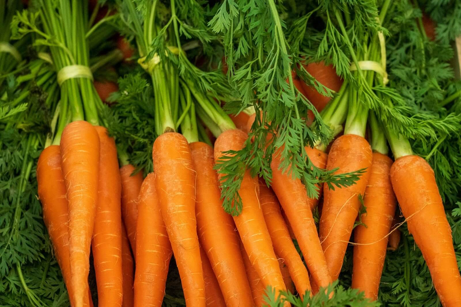 10 Proven Health Benefits of Carrots (Backed by Science)