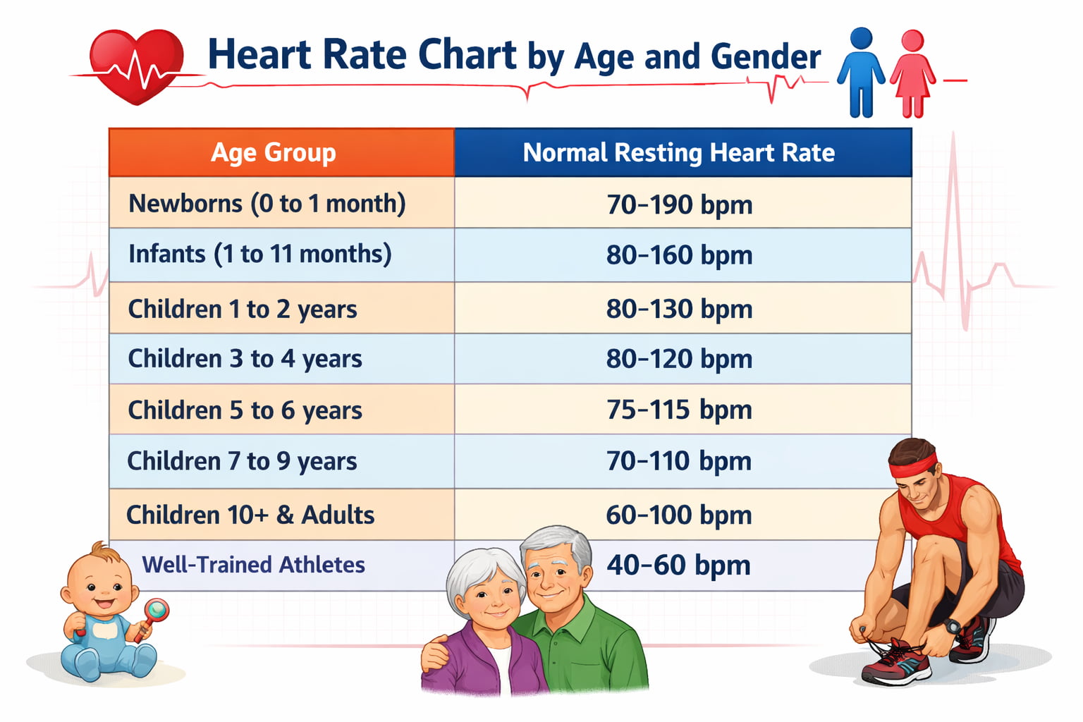 Heart Rate Chart by Age and Gender: Normal Resting Pulse Ranges Explained