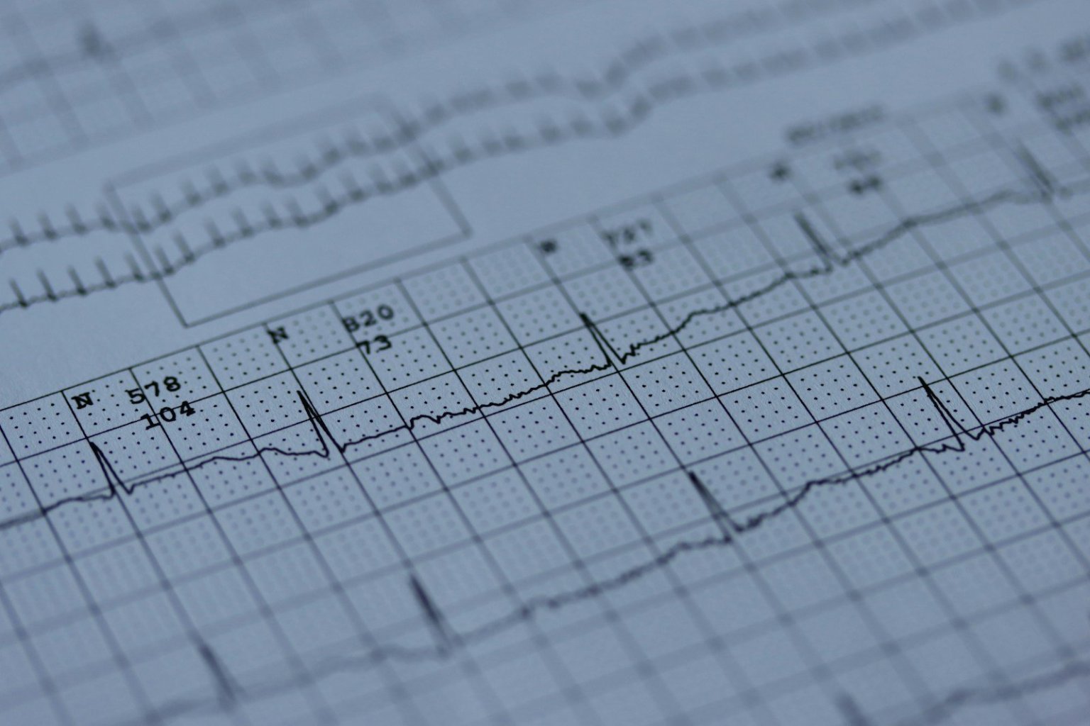 Heart Rate Chart for Seniors: Resting Pulse Ranges and When to Worry